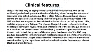 Trypanosoma brucei complex – African trypanosomiasis (sleeping sickness ...
