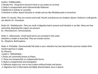 Phylum: Platyhelminthes Platyhelminthes (from the Greek , platy ...