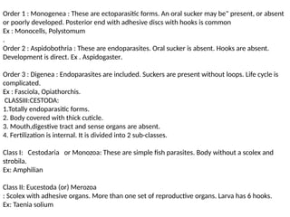 Phylum: Platyhelminthes Platyhelminthes (from the Greek , platy ...