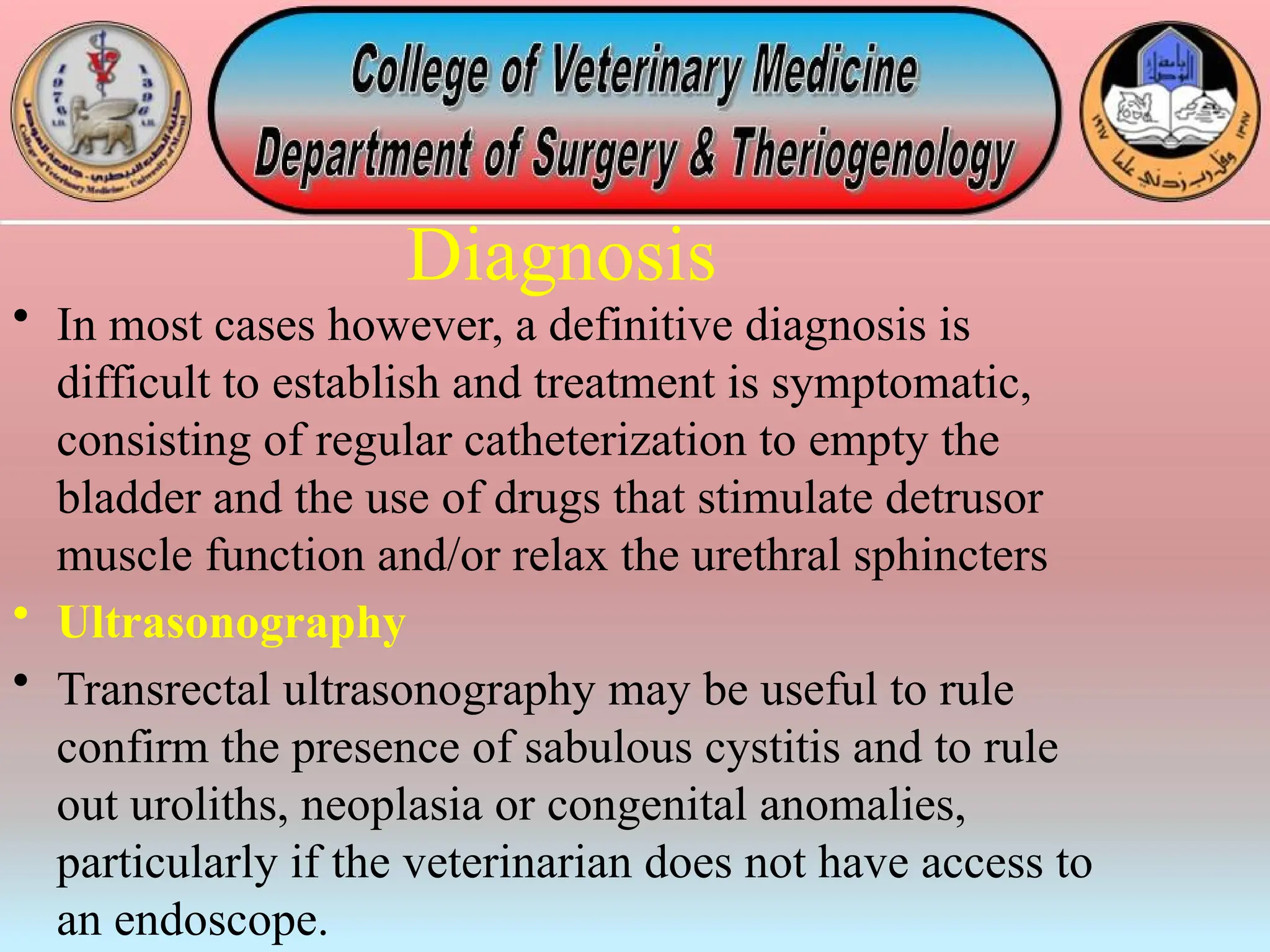 Acute renal failure in horses is initially associated with anuria or ...