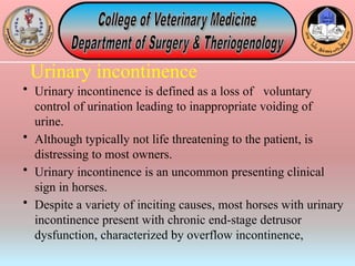 Acute renal failure in horses is initially associated with anuria or ...