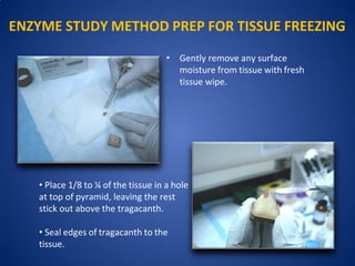 TISSUE FREEZING METHODS FOR CRYOSTAT SECTIONING | PPT