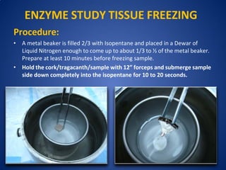 TISSUE FREEZING METHODS FOR CRYOSTAT SECTIONING | PDF