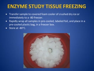 TISSUE FREEZING METHODS FOR CRYOSTAT SECTIONING | PPT