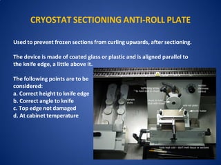 TISSUE FREEZING METHODS FOR CRYOSTAT SECTIONING | PPT