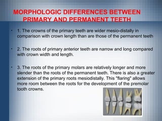 مورفولوژی دندانهای شیری.ppt primary teeth morphology | PPT