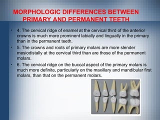 مورفولوژی دندانهای شیری.ppt primary teeth morphology | PPT