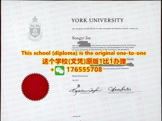 York University degree offer diploma Transcript | PPT