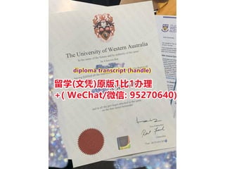 The University of Western Australia degree offer diploma Transcript | PPT