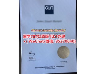 Queensland University of Technology degree offer diploma Transcript | PPT