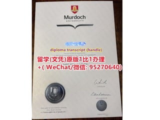 Murdoch University degree offer diploma Transcript | PPT