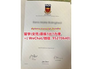 University of Southern Queensland degree offer diploma Transcript | PPT