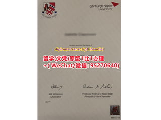 Edinburgh Napier University degree offer diploma Transcript | PPT