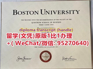 Boston University degree offer diploma Transcript | PPT