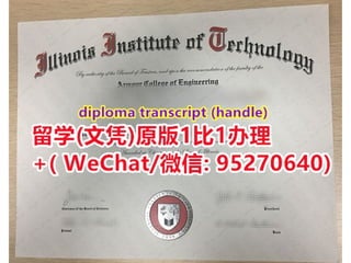 Illinois Institute of Technology degree offer diploma Transcript | PPT