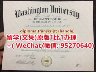 Washington University in St. Louis degree offer diploma Transcript | PPTX