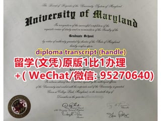 University of Maryland degree offer diploma Transcript | PPT