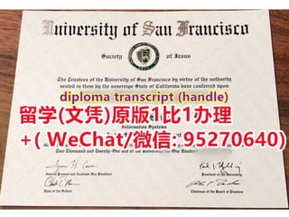 University of San Francisco degree offer diploma Transcript | PPT
