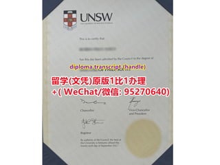 一比一原版(UNSW毕业证)新南威尔士大学毕业证offer如何办理 | PPT