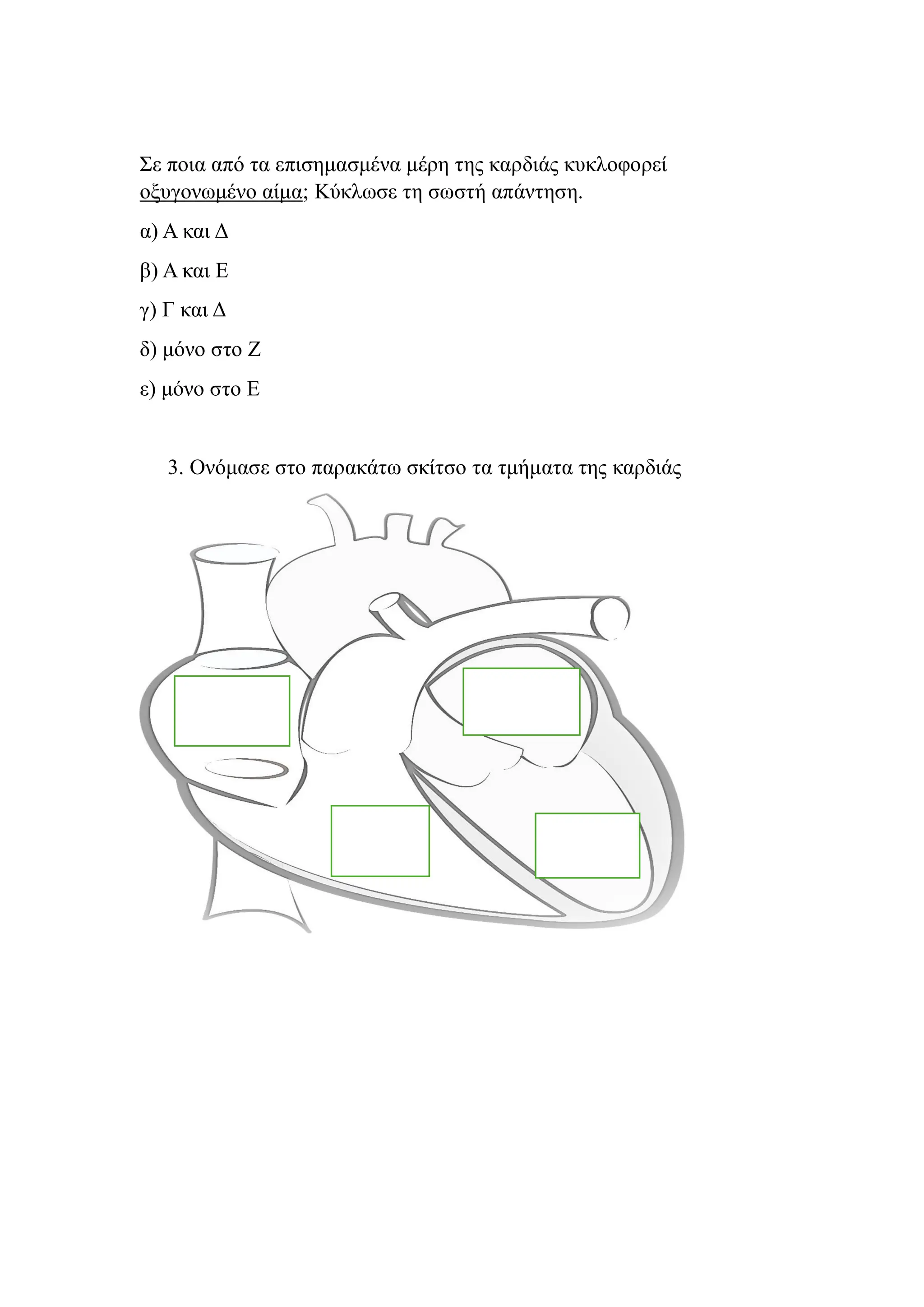 ΦΥΛΛΟ ΕΡΓΑΣΙΑΣ ΚΥΚΛΟΦΟΡΙΚΟ ΣΥΣΤΗΜΑ.pdf/ ΤΟ ΚΥΚΛΟΦΟΡΙΚΟ ΣΥΣΤΗΜΑ ΤΟΥ ...