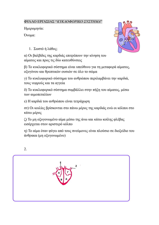 ΦΥΛΛΟ ΕΡΓΑΣΙΑΣ ΚΥΚΛΟΦΟΡΙΚΟ ΣΥΣΤΗΜΑ.pdf/ ΤΟ ΚΥΚΛΟΦΟΡΙΚΟ ΣΥΣΤΗΜΑ ΤΟΥ ...