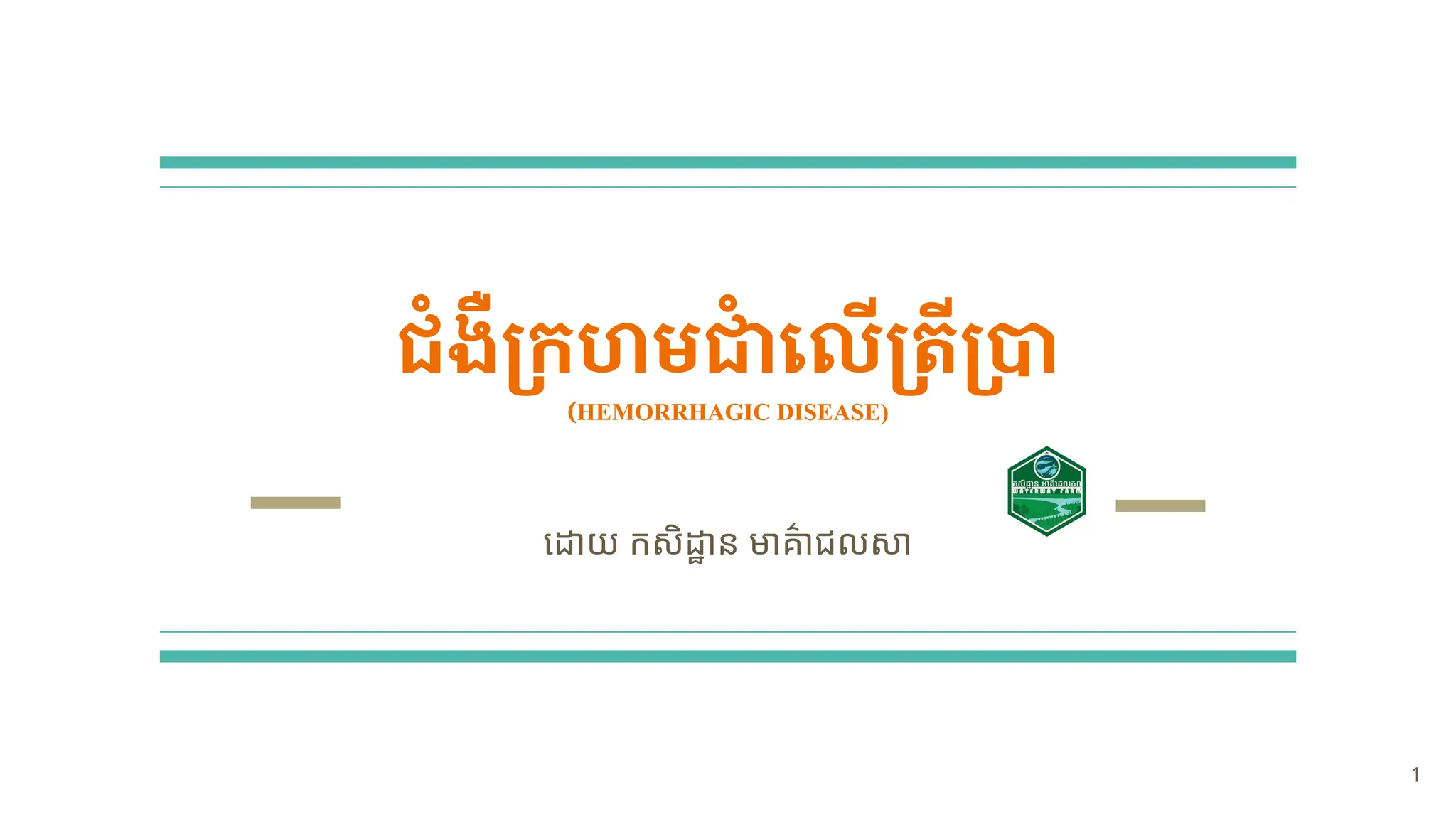 ជំងឺត្រីក្រហមជាំលើស្បែកhemorrhagic Diseasepptx 9736