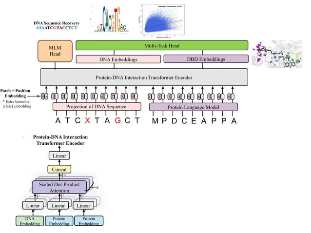 drawing_model_as_ppt_deeplearning_framework.pptx