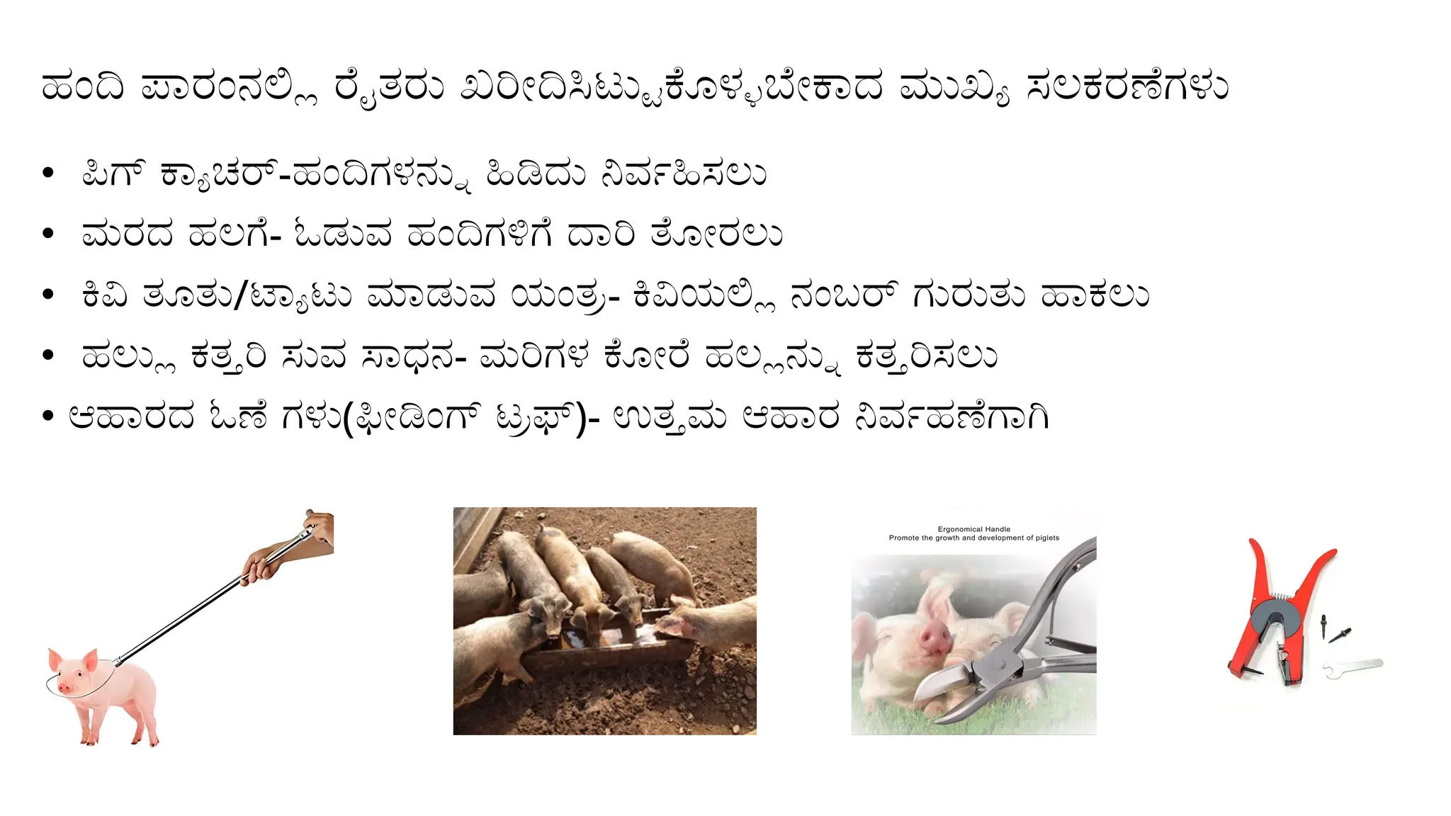 modern methods of pig rearing in kannada.pptx