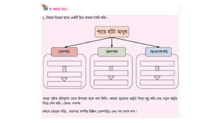 এসাইনমেন্ট - ২- Primary teachers Assignment | PPT