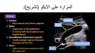 gallbladder anatomy and by Echo arabic version | PDF