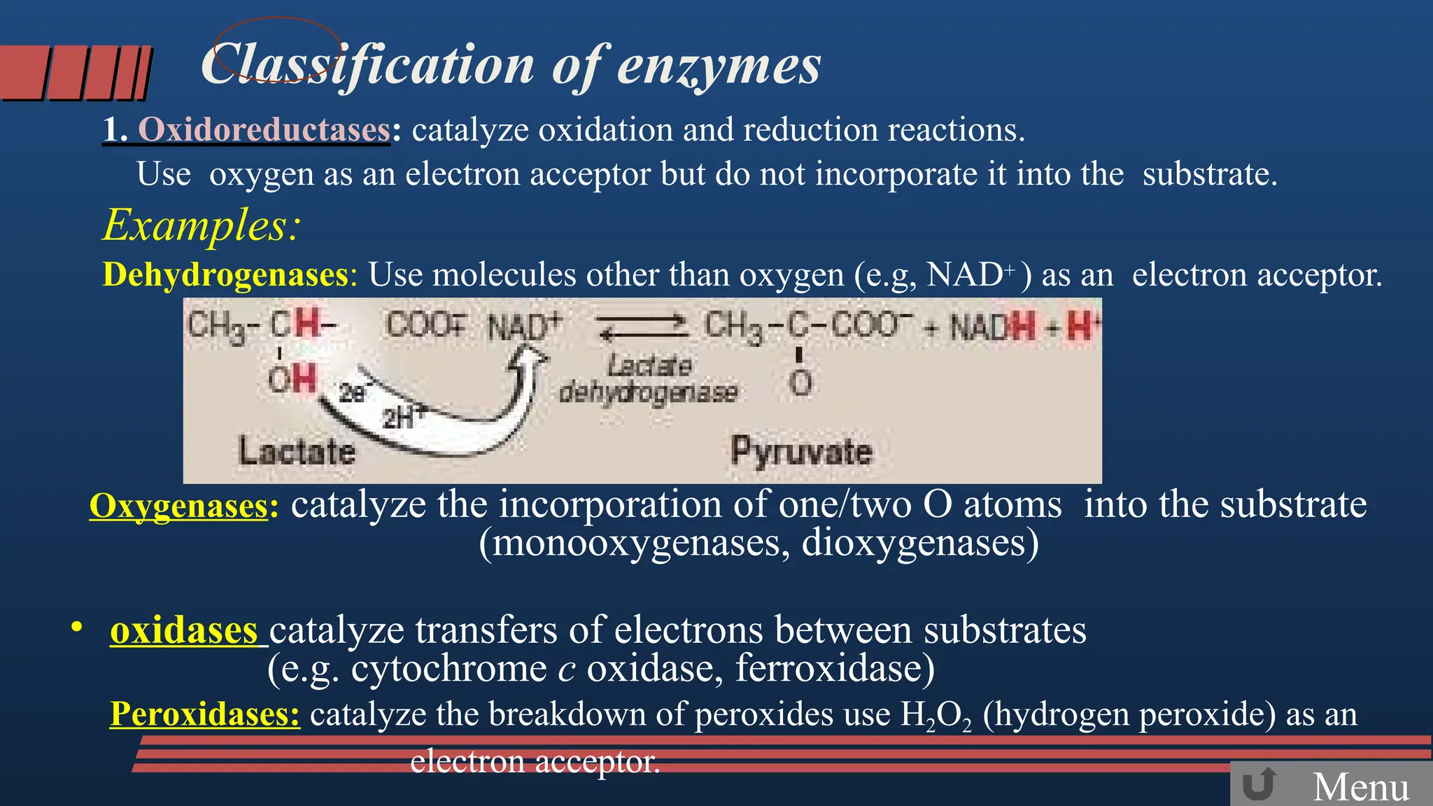 Enzyme Classification and nomenclature : .pptx