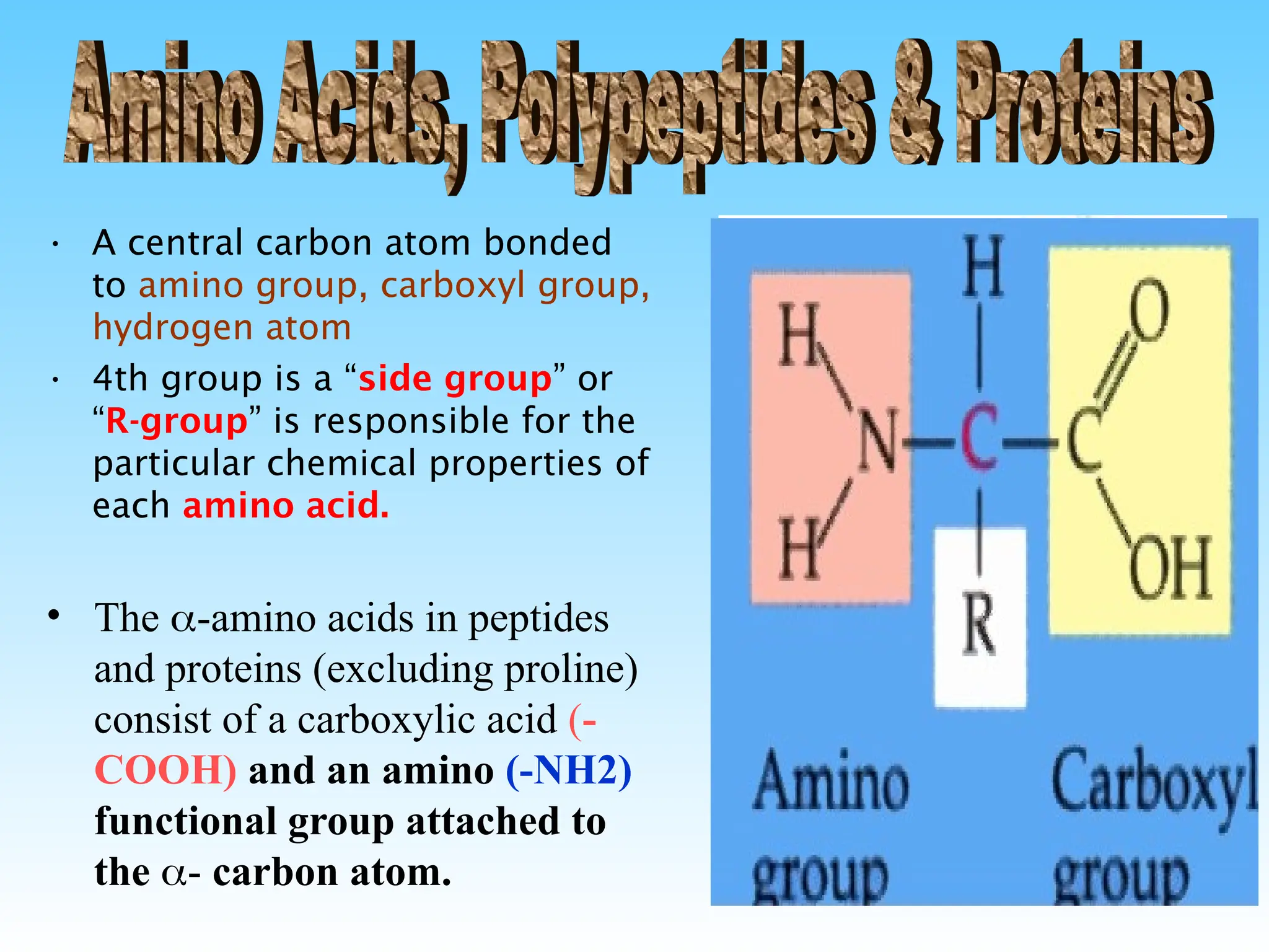 Amino Acids, Polypeptides & Proteinsppt Characteristics of Proteins | PPT