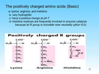 Amino Acids, Polypeptides & Proteinsppt Characteristics of Proteins | PPT