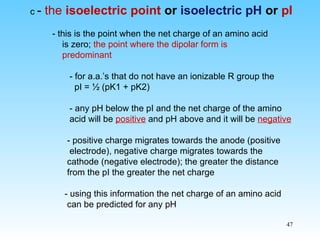 Amino Acids, Polypeptides & Proteinsppt Characteristics of Proteins | PPT