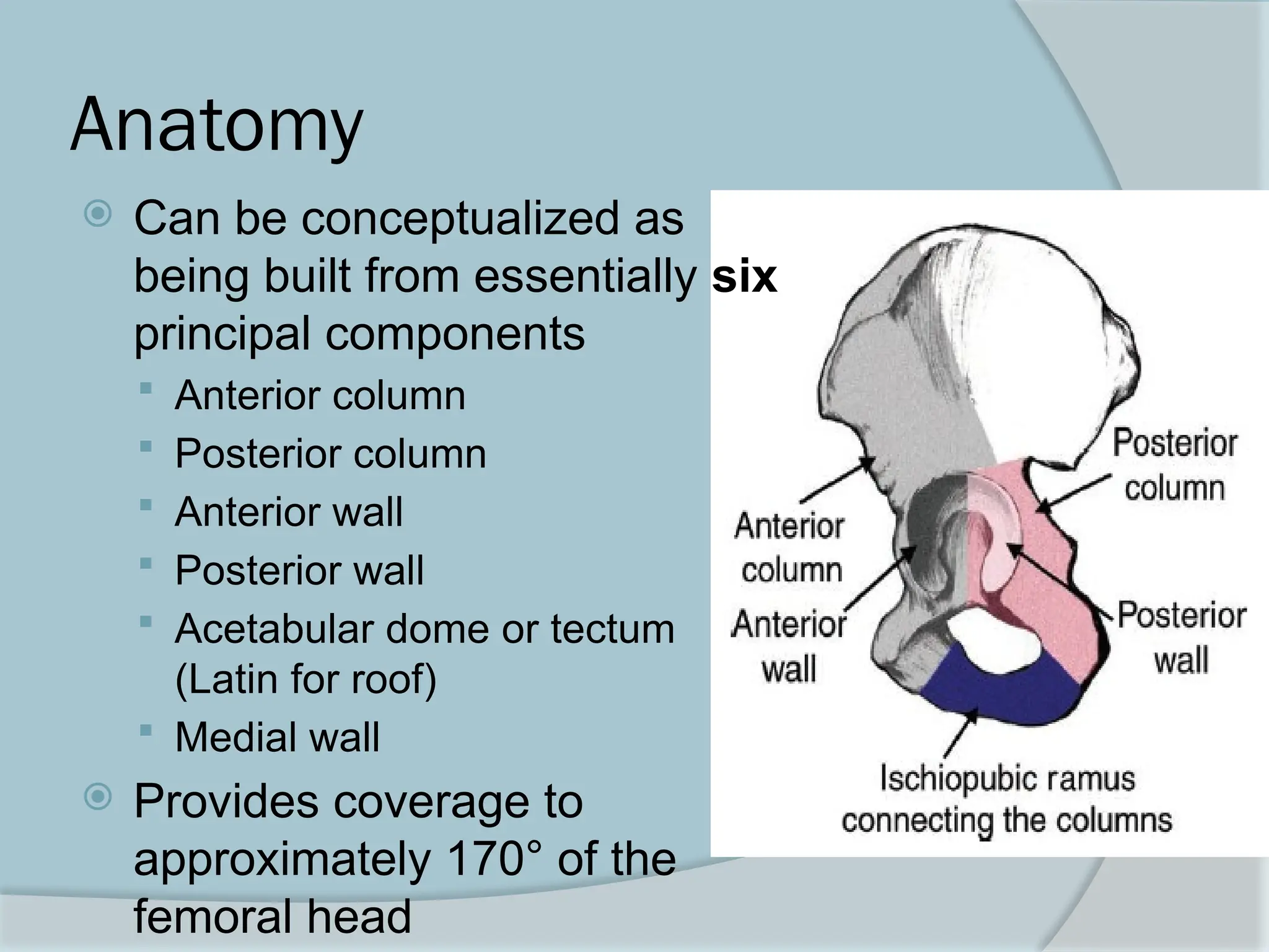 acetabular fracture lower limb orthopedic trauma | PPTX