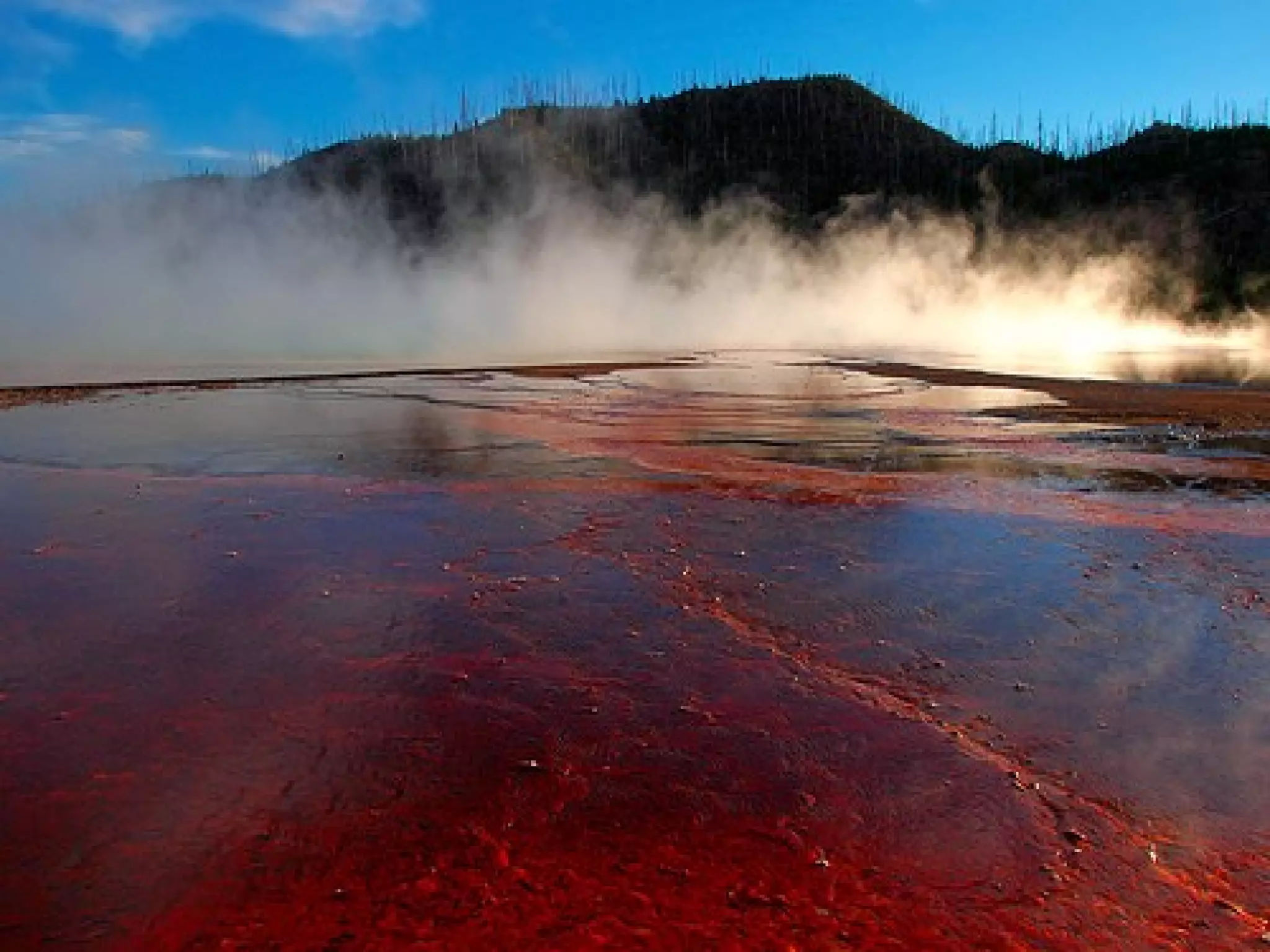 Random Pictures | PPS