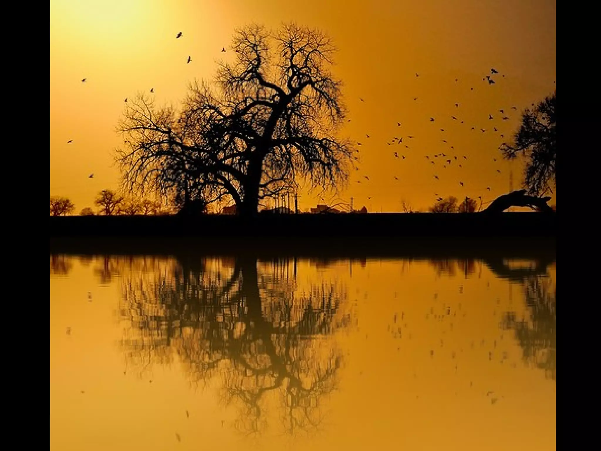 Random Pictures | PPS