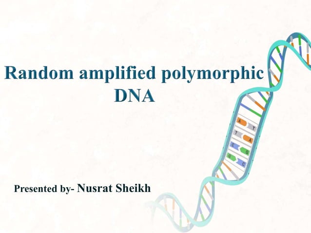 Random amplified polymorphic DNA-RAPD.pptx | Chemistry | Science