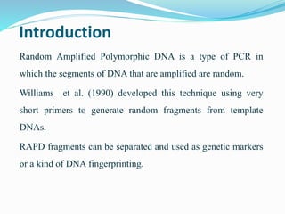 Random amplified polymorphic DNA-RAPD.pptx