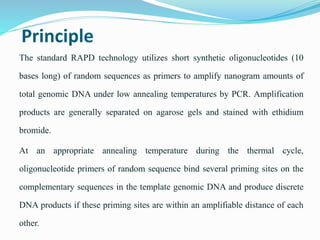 Random amplified polymorphic DNA-RAPD.pptx