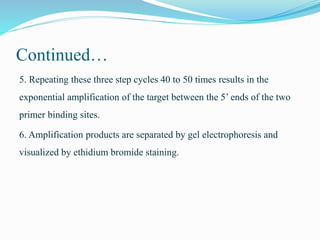 Random amplified polymorphic DNA-RAPD.pptx | Chemistry | Science