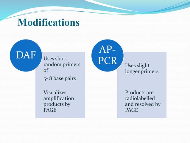 Random amplified polymorphic DNA-RAPD.pptx | Chemistry | Science