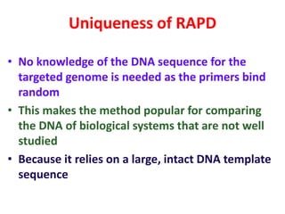 Random amplified polymorphic dna (rapd) | PPTX