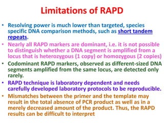 Random amplified polymorphic dna (rapd) | PPTX