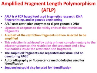 Random amplified polymorphic dna (rapd) | PPTX