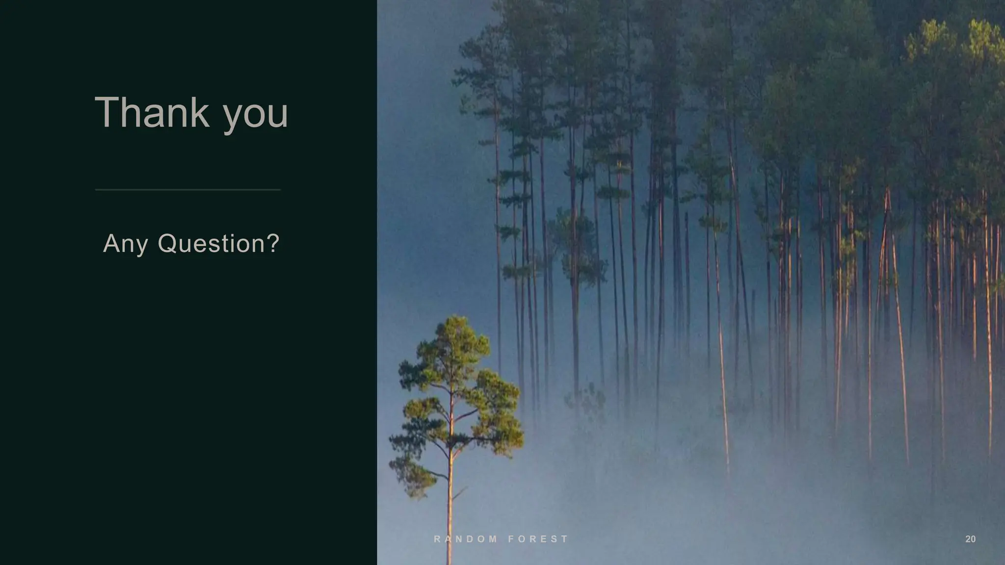 Random Forest | PPTX