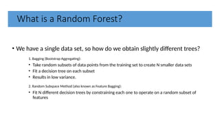 Random ForestRandomForestsRandomForests.pptx