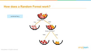 Random Forest Algorithm - Random Forest Explained | Random Forest In Machine Learning ...