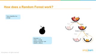 Random Forest Algorithm - Random Forest Explained | Random Forest In ...