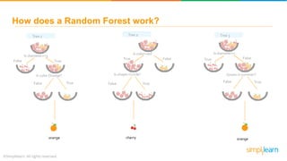 Random Forest Algorithm - Random Forest Explained | Random Forest In ...